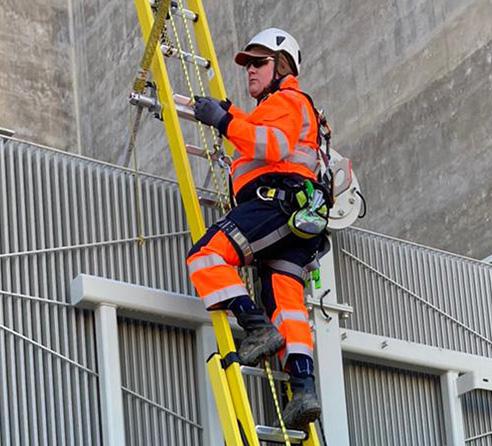 Branach Europe - Platform & Extension Ladders