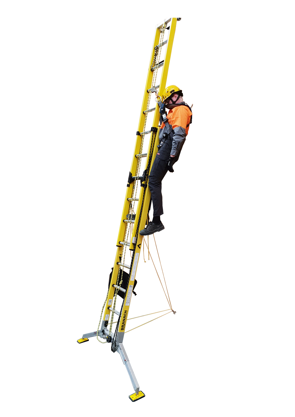 AU HOME | Branach New Website